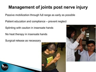 Nerve repair postop rehab | PPTX