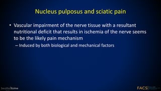 Nerve root pathophysiology | PPTX