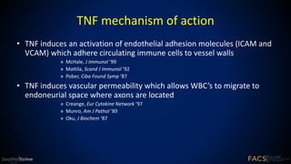 Nerve root pathophysiology | PPTX