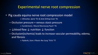 Nerve root pathophysiology | PPTX
