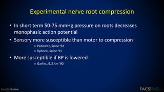 Nerve root pathophysiology | PPTX