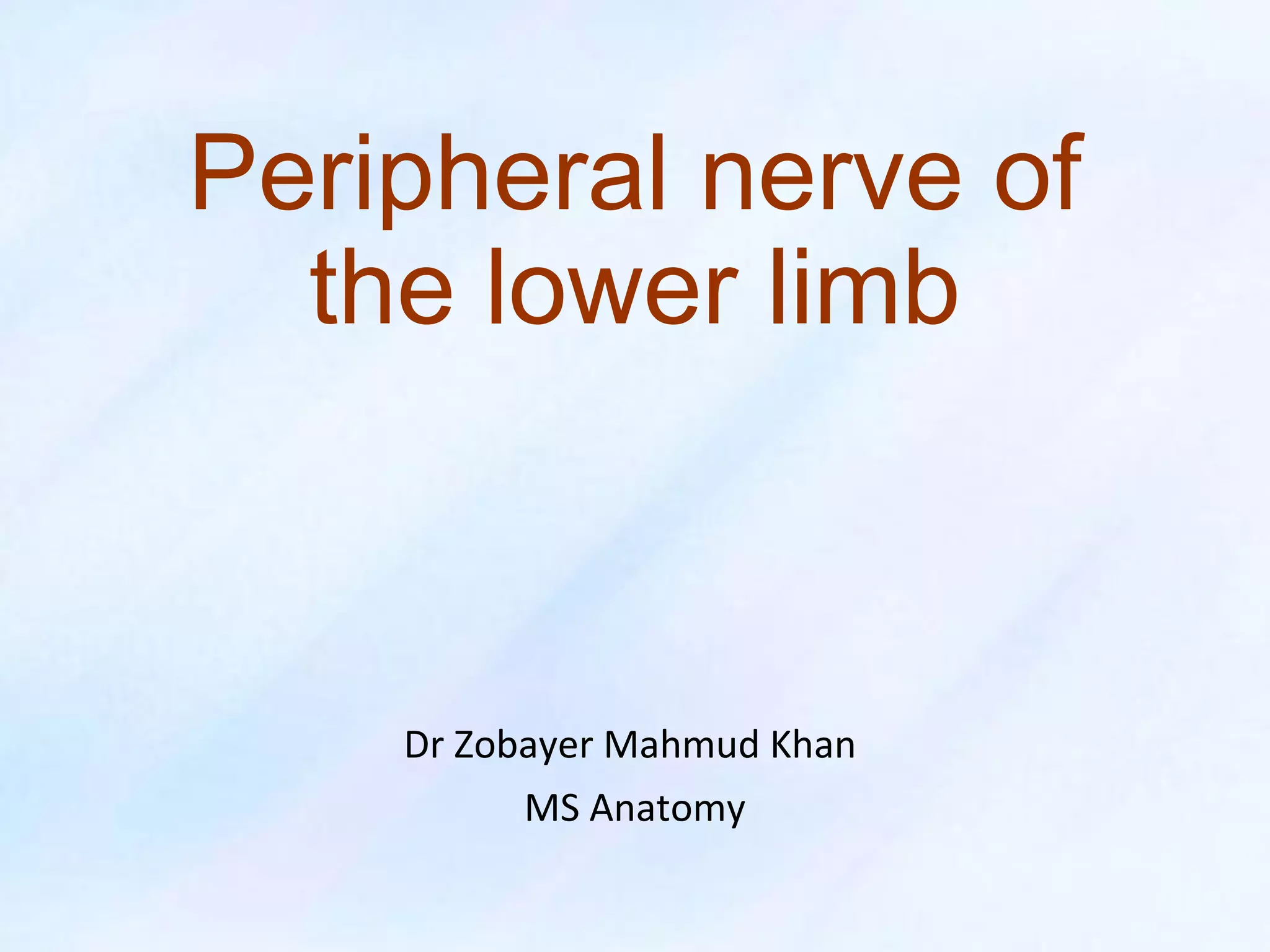 Plexuses, Cutaneous innervation, Dermatome, Axial line of the lower ...