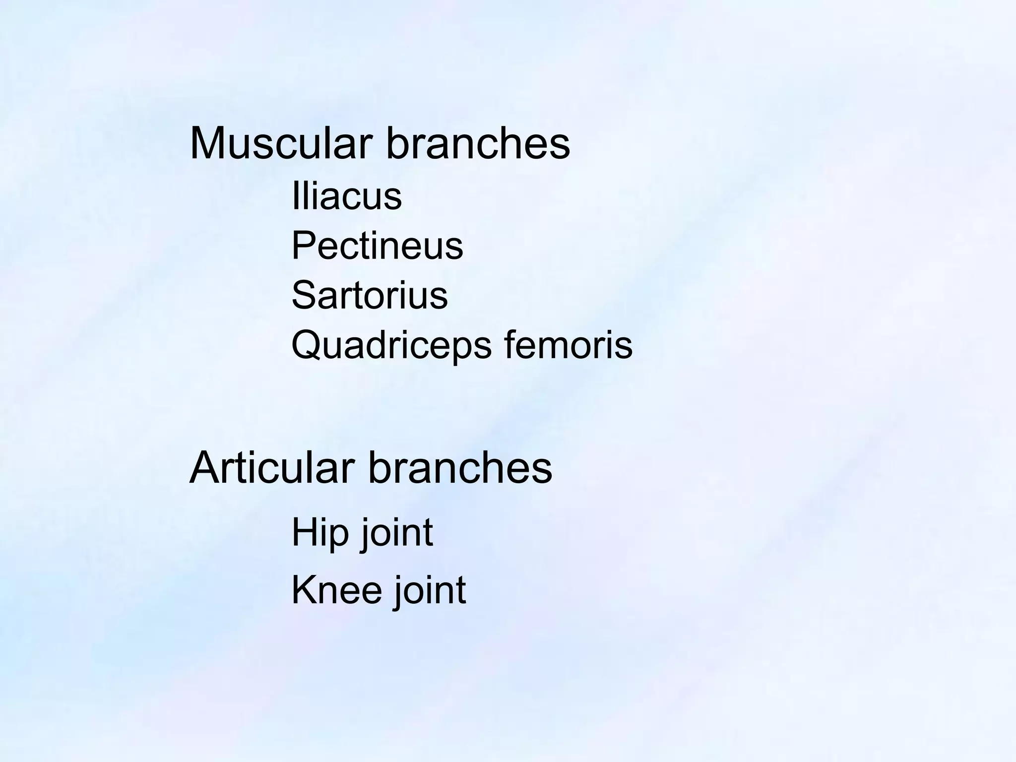 Plexuses, Cutaneous innervation, Dermatome, Axial line of the lower ...