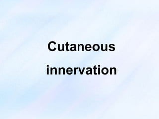 Plexuses, Cutaneous innervation, Dermatome, Axial line of the lower ...