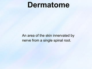 Plexuses, Cutaneous innervation, Dermatome, Axial line of the lower ...
