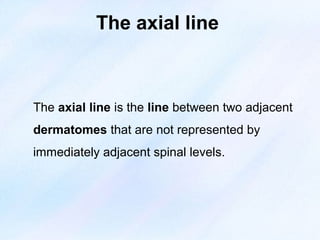 Plexuses, Cutaneous innervation, Dermatome, Axial line of the lower ...