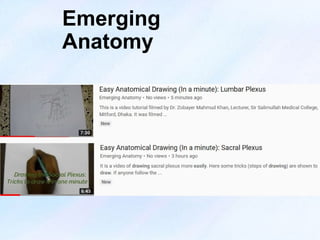 Plexuses, Cutaneous innervation, Dermatome, Axial line of the lower ...