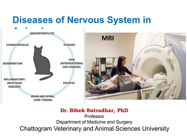 Nerves-Paralysis and Paresis.pptx | Brain and Nervous System Disorders ...