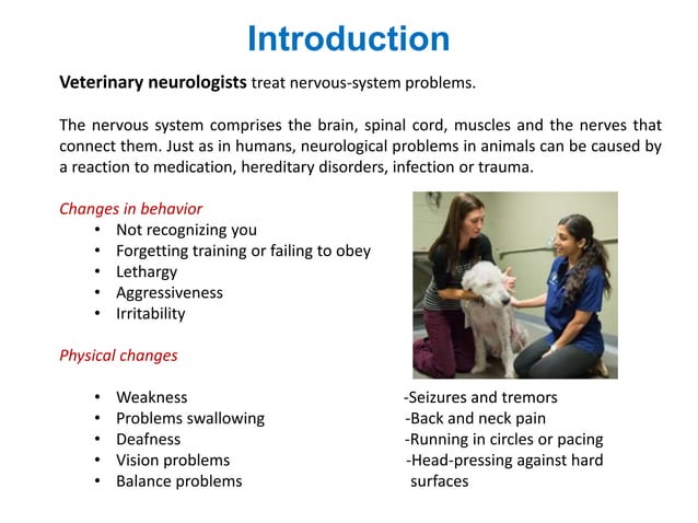 Nerves-Paralysis and Paresis.pptx | Brain and Nervous System Disorders ...