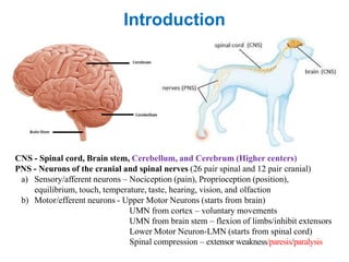 Nerves-Paralysis and Paresis.pptx