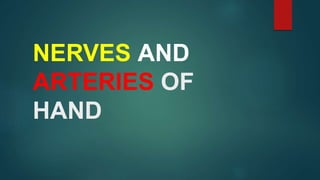 Nerves and arteries of hand | PPTX