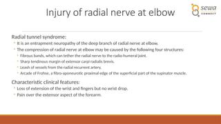 Axillary Nerve, Musculocutaneous nerve, Back of forearm | PPTX