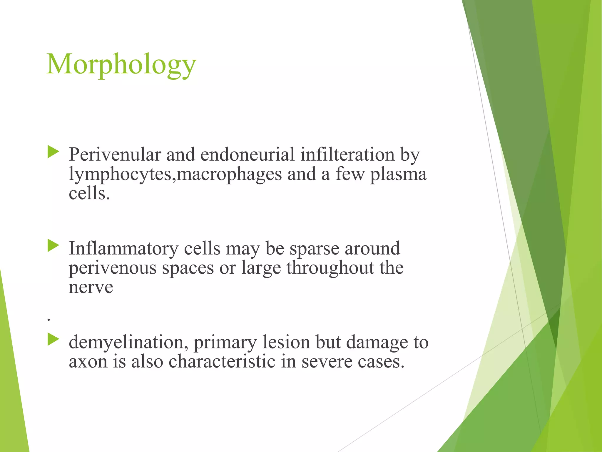 Nerves and muscles | PPT