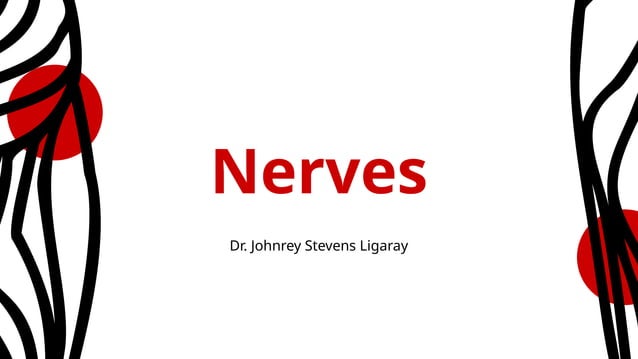 Nerves and Muscles lecture from stanmore.pptx