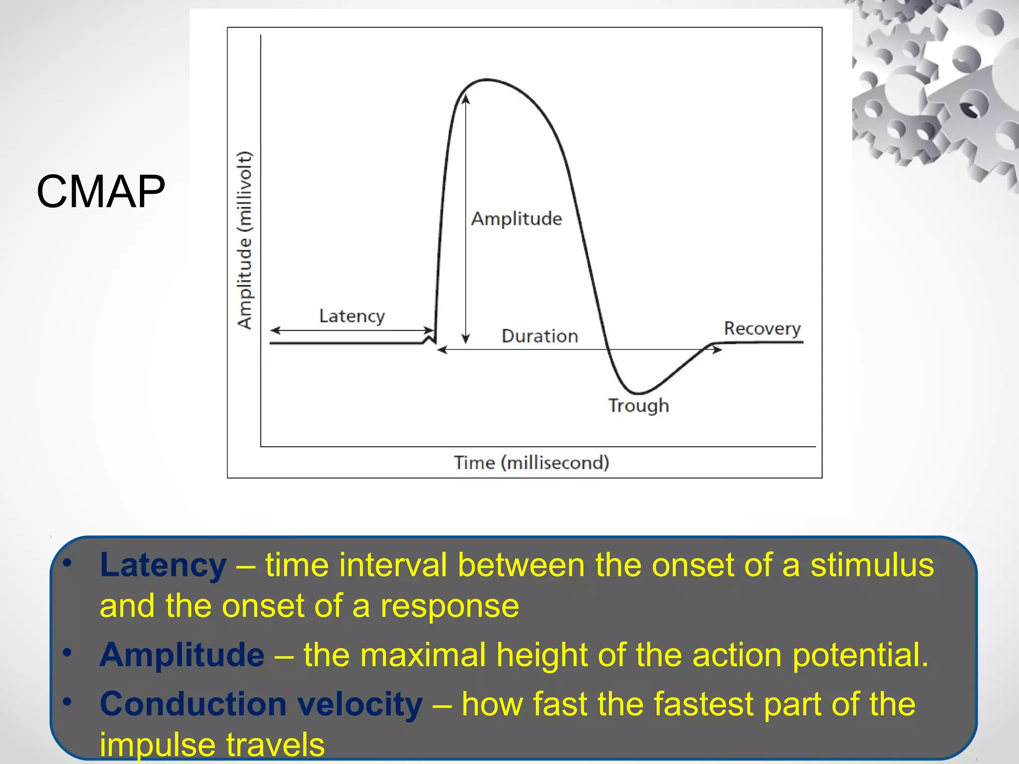 Nerves conduction study | PPT