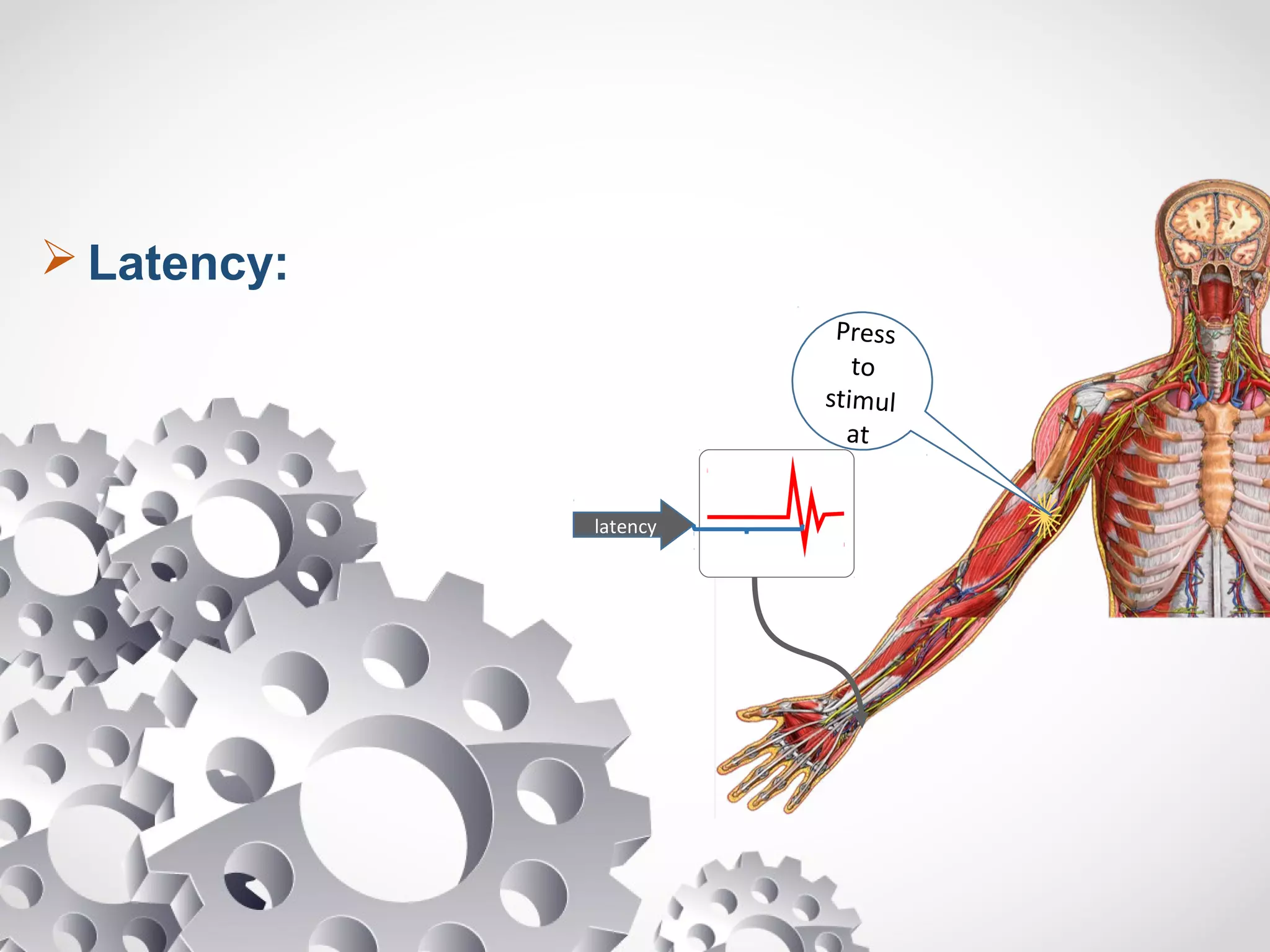 Nerves conduction study | PPT