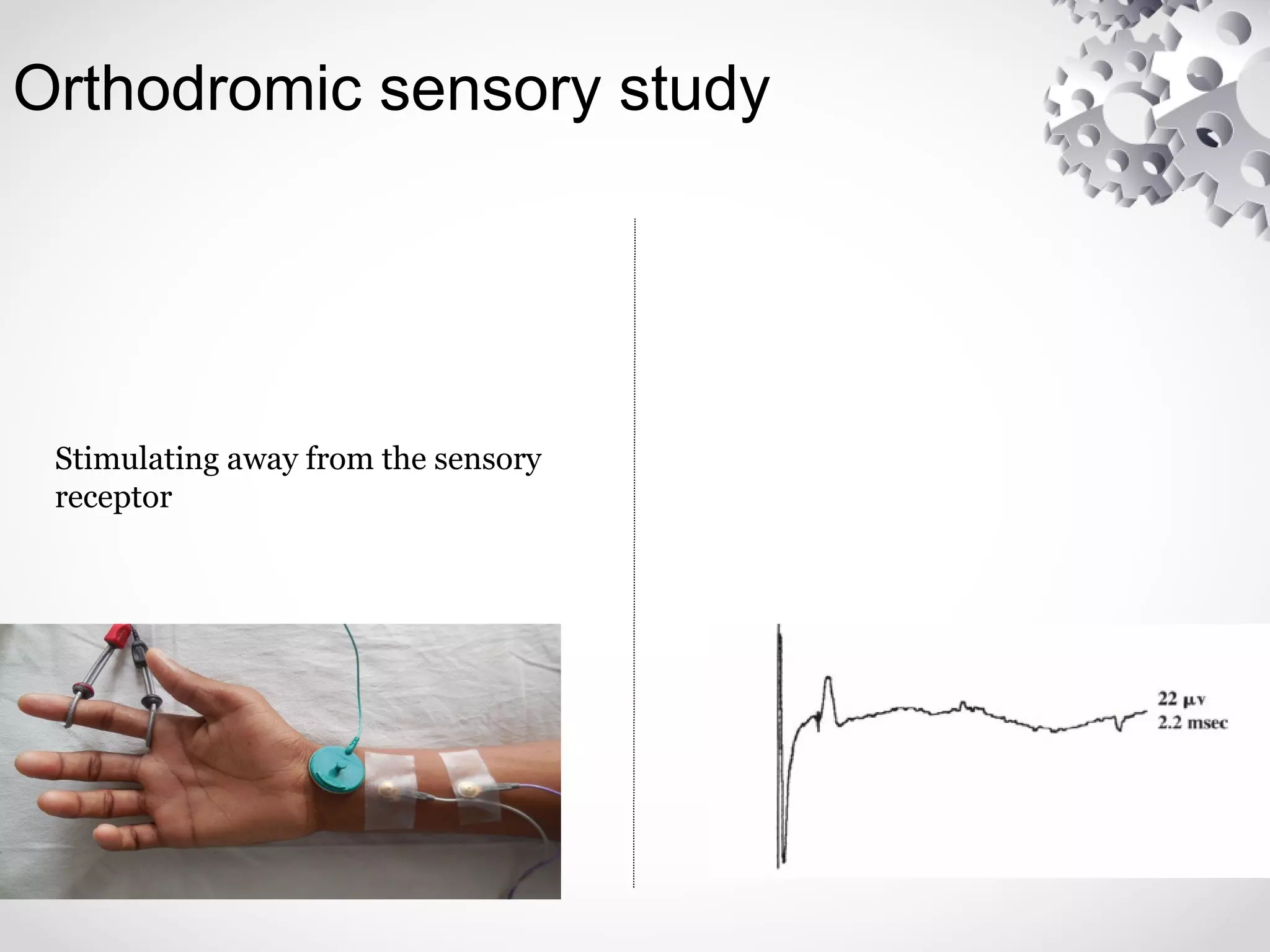 Nerves conduction study | PPT