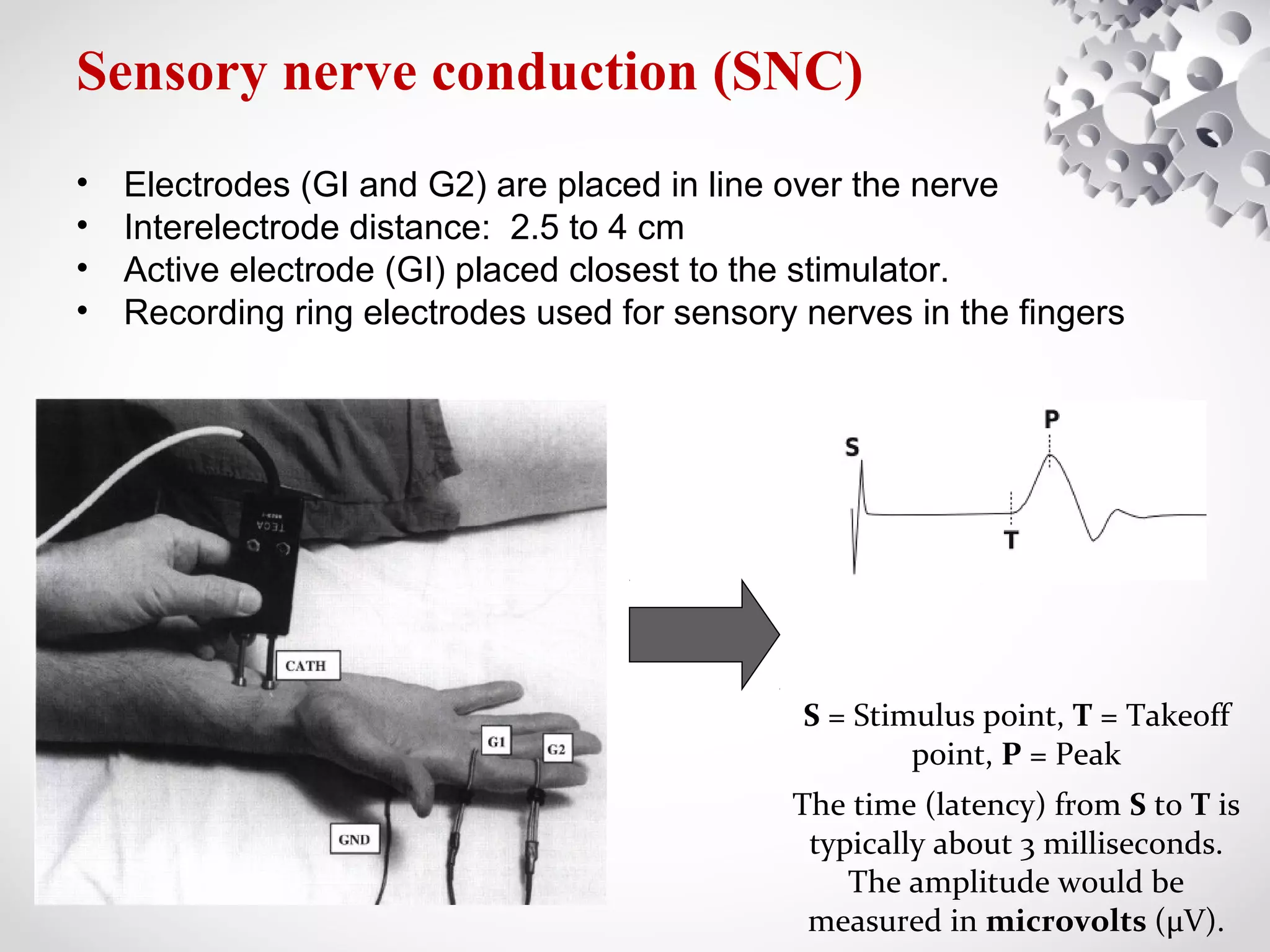 Nerves conduction study | PPT