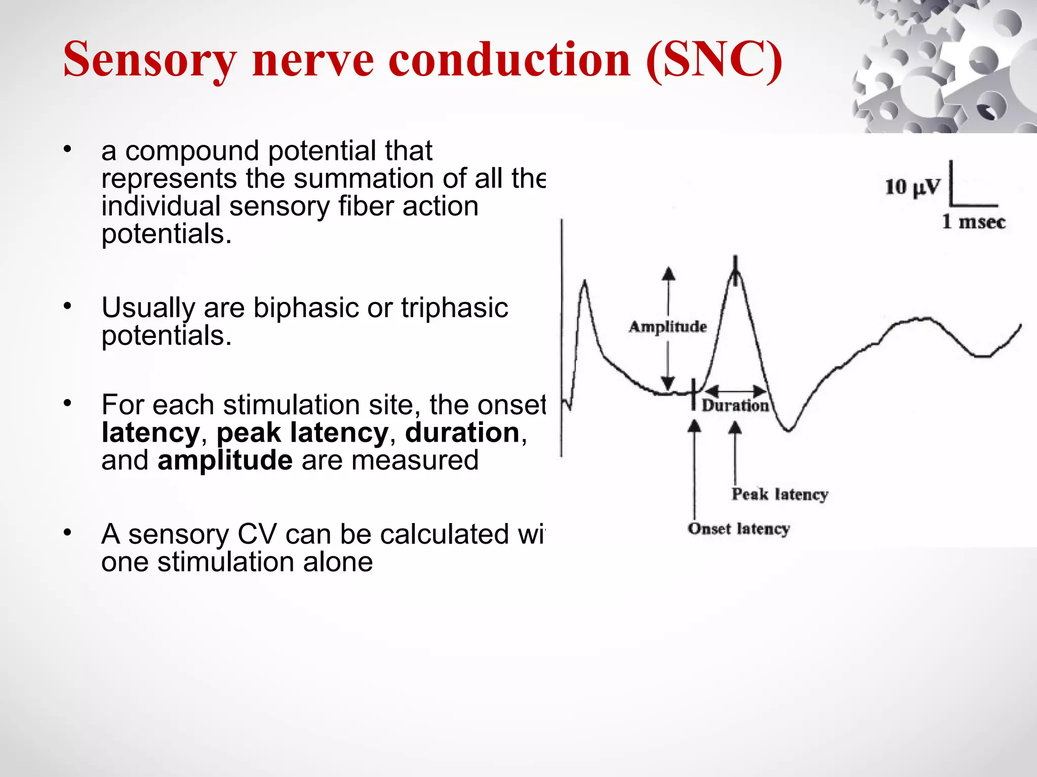 Nerves conduction study | PPT