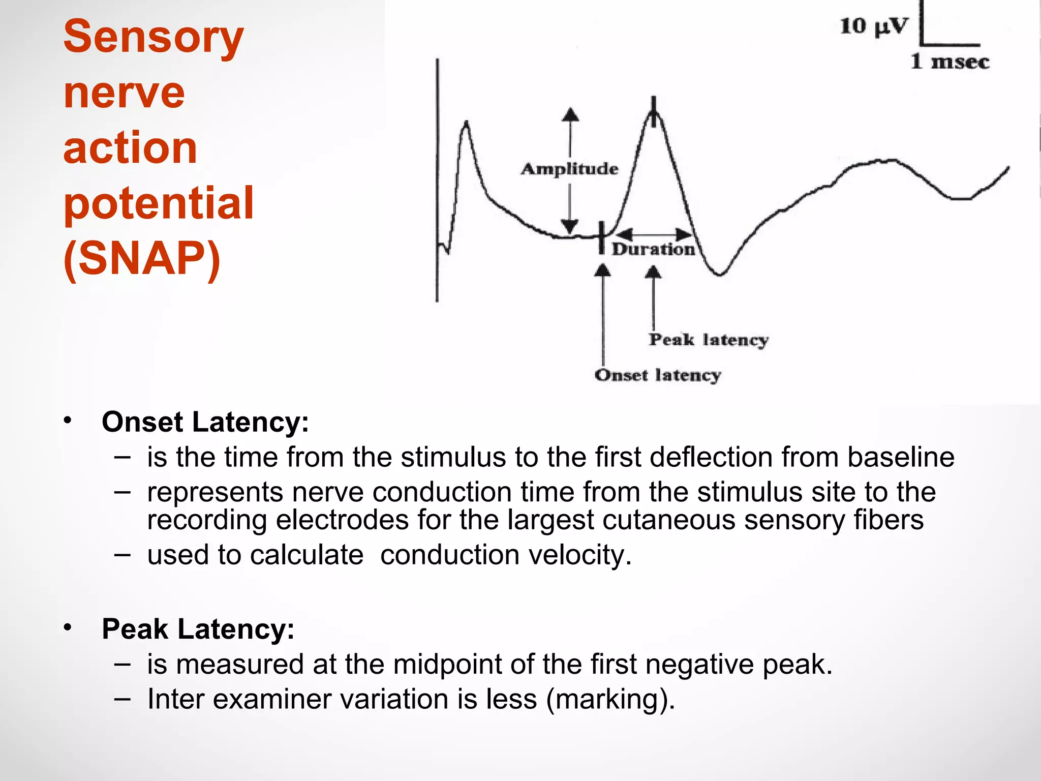 Nerves conduction study | PPT