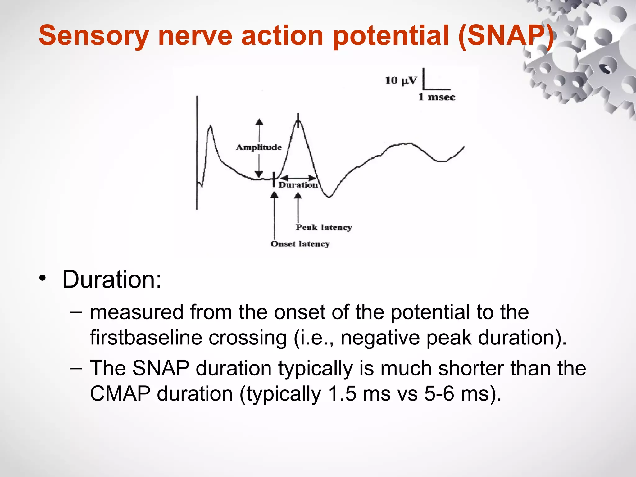 Nerves conduction study | PPT