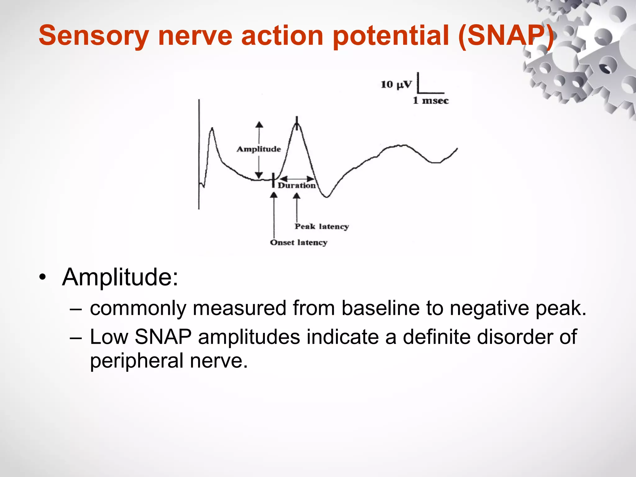 Nerves conduction study | PPT