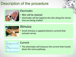 Nerves conduction study | PPT