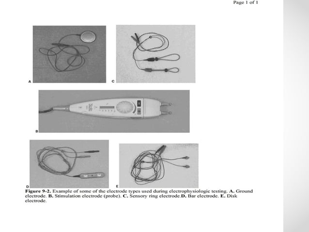 Nerves conduction study | PPT