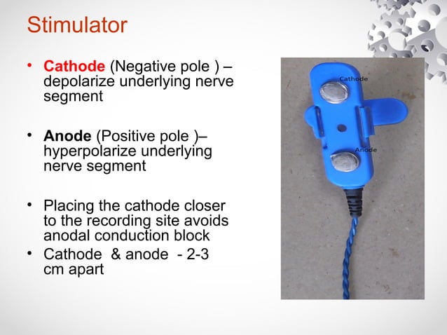 Nerves conduction study | PPT