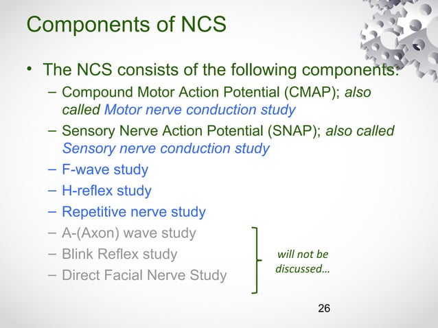 Nerves conduction study | PPT