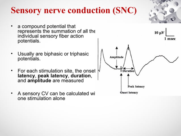 Nerves conduction study | PPT