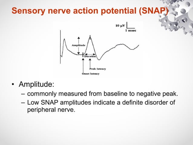Nerves conduction study | PPT