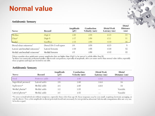 Nerves conduction study | PPT