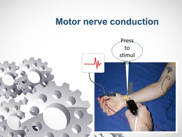 Nerves conduction study | PPT