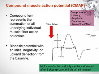 Nerves conduction study | PPT