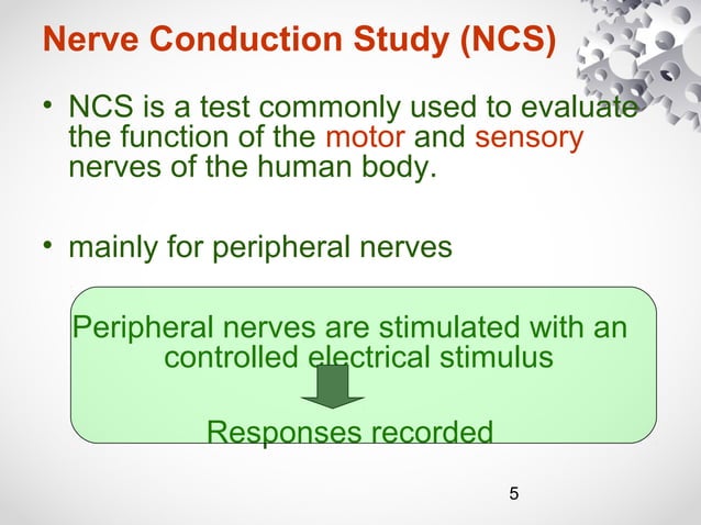 Nerves conduction study | PPT