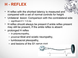 Nerves conduction study | PPT