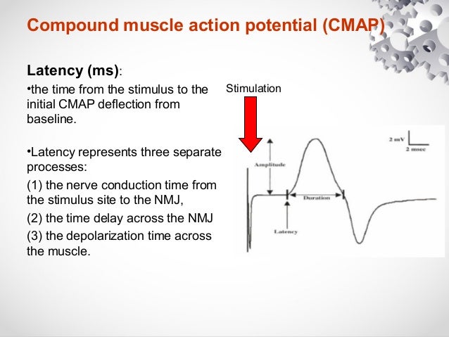 Nerves conduction study