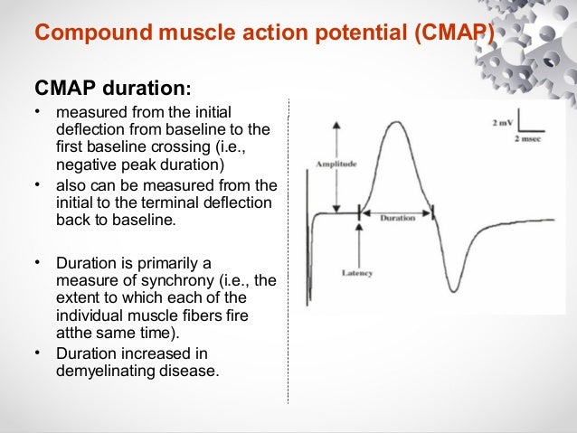 Nerves conduction study