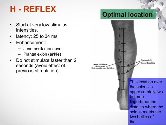 Nerves conduction study