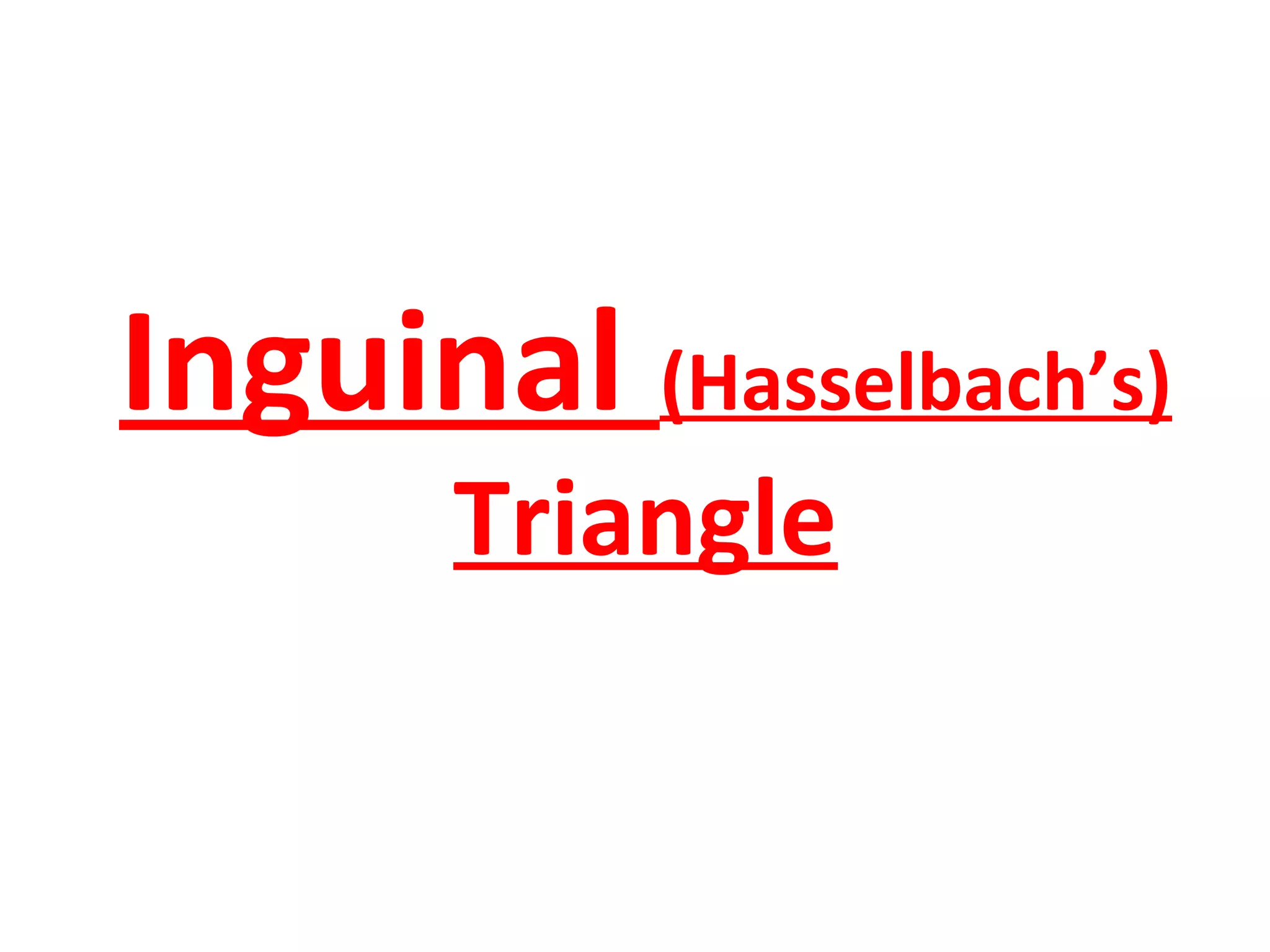 Nerves of Anterior Abdominal Wall (Anatomy of the Abdomen) | PPS