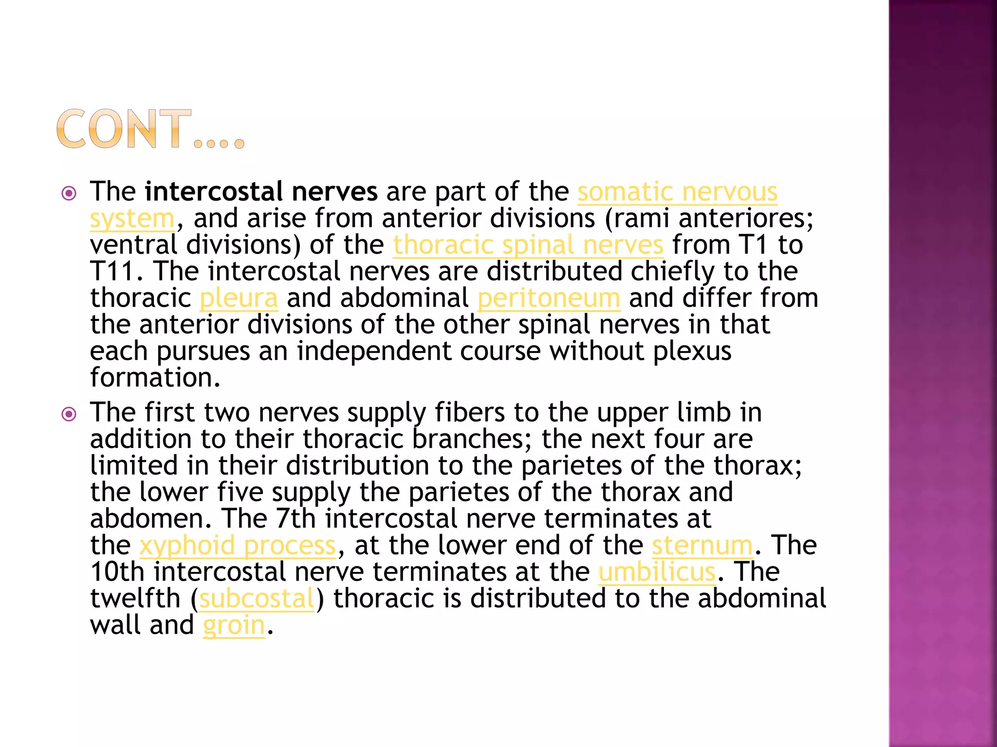 Nerves of cervical and thorasic region | PPTX