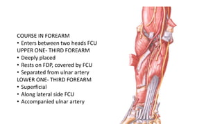 Nerves of hand | PPTX