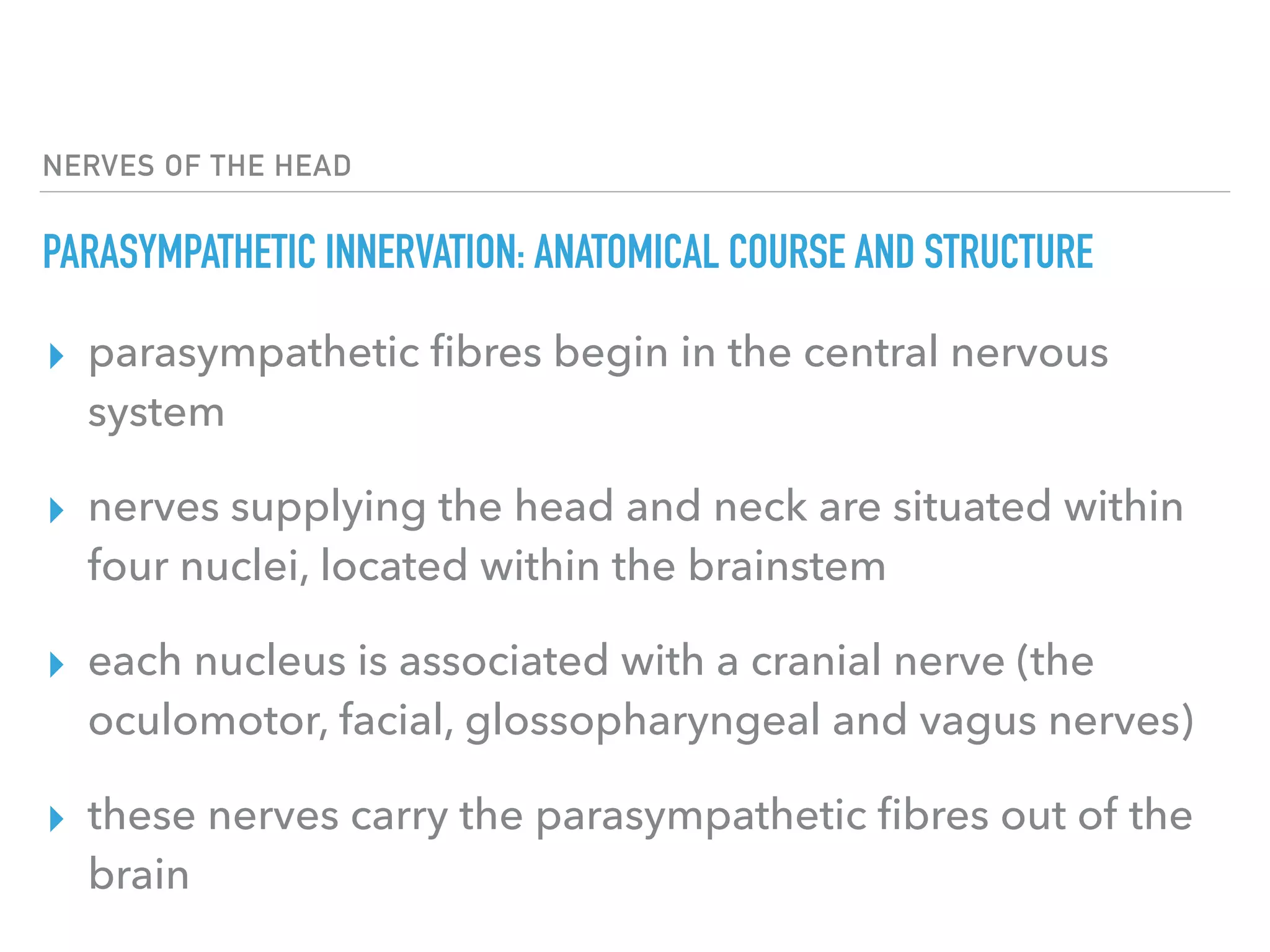 Nerves of the head | PDF