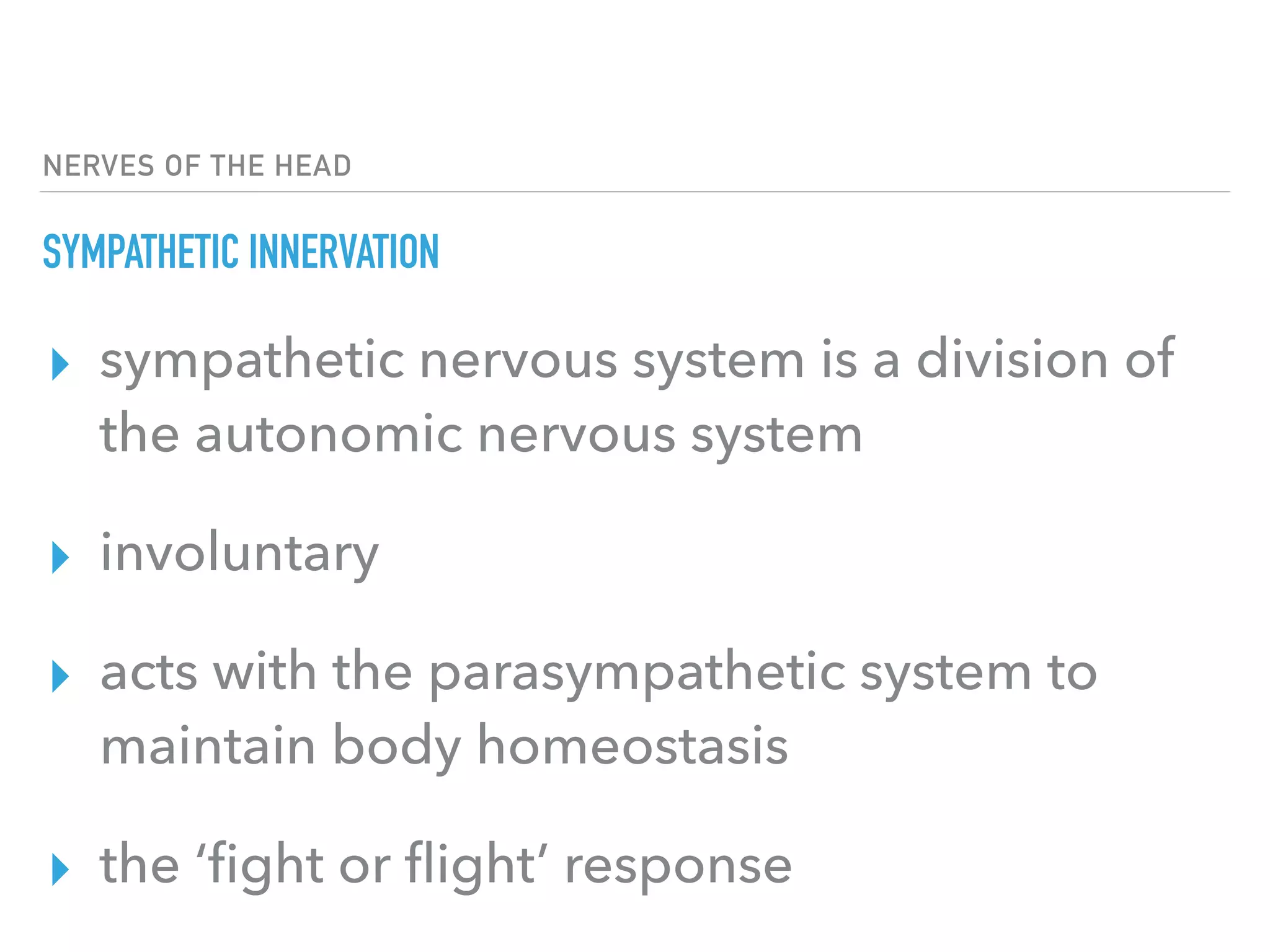 Nerves of the head | PDF