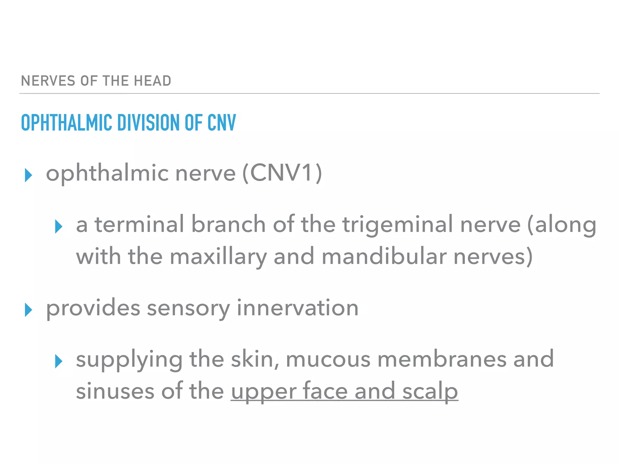 Nerves of the head | PDF