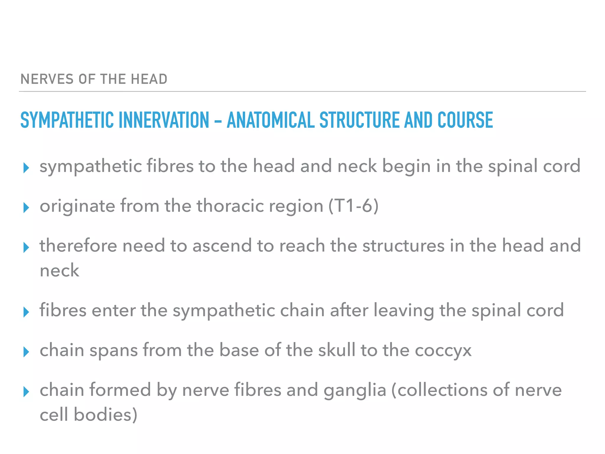 Nerves of the head | PDF