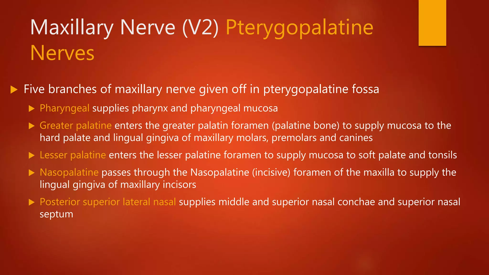Nerves of the Head and Neck: Intro, CNS, PNS, Cranial Nerves ...