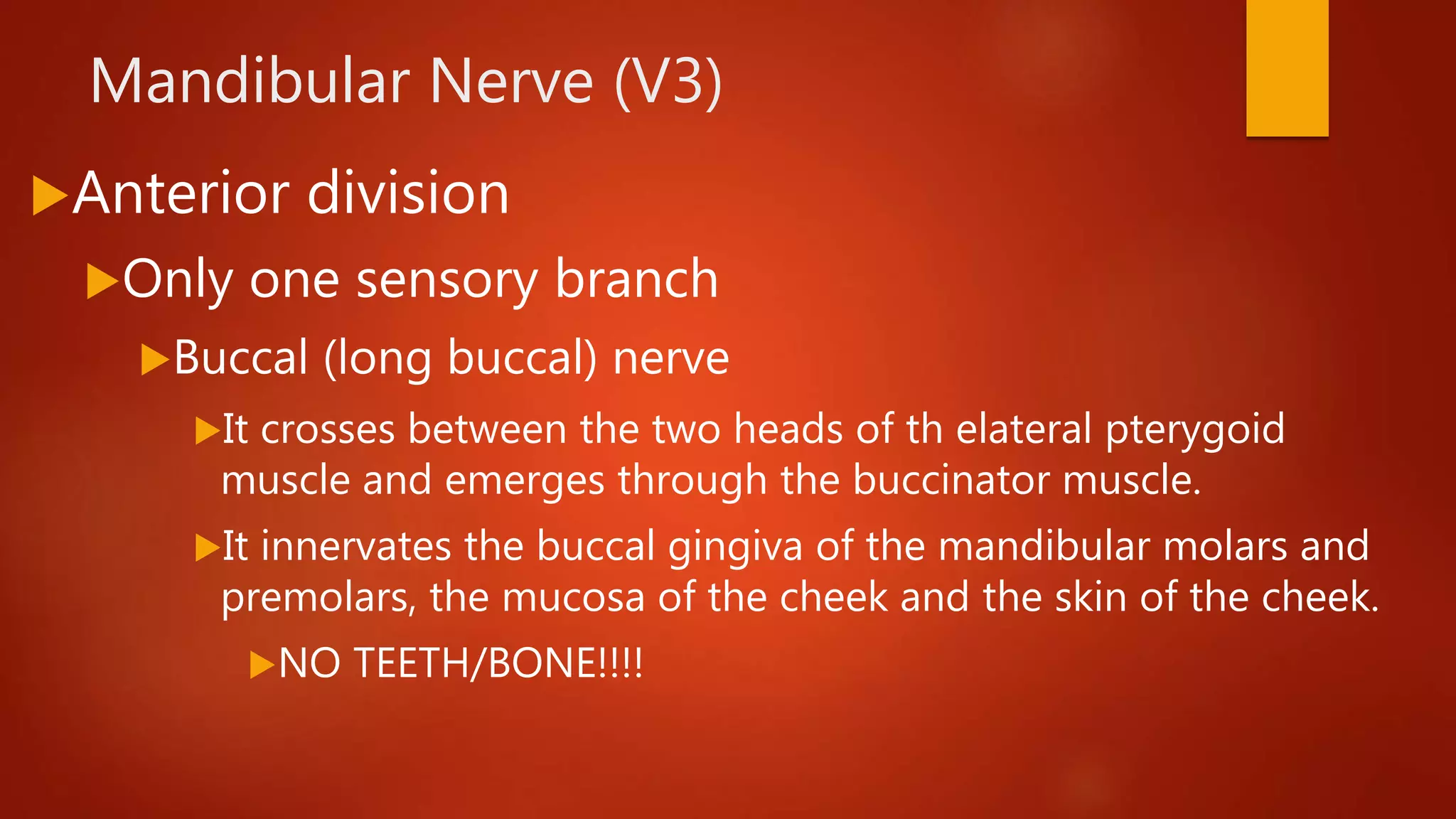 Nerves of the Head and Neck: Intro, CNS, PNS, Cranial Nerves ...