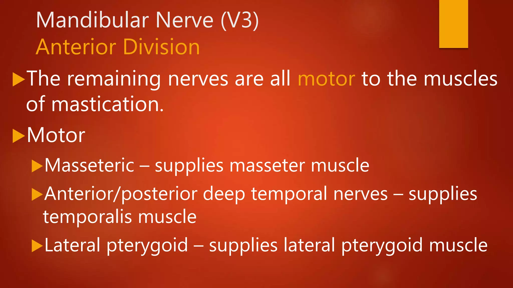Nerves of the Head and Neck: Intro, CNS, PNS, Cranial Nerves ...